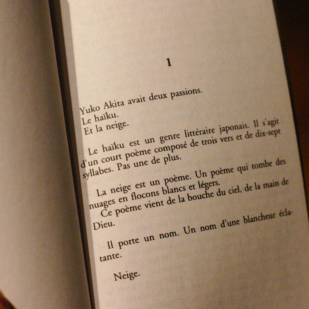 Neige – Maxence Fermine – Le blog à histoires