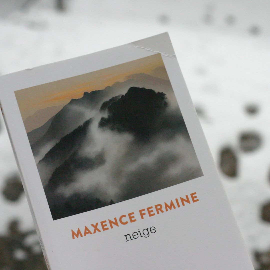 Neige – Maxence Fermine – Le blog à histoires